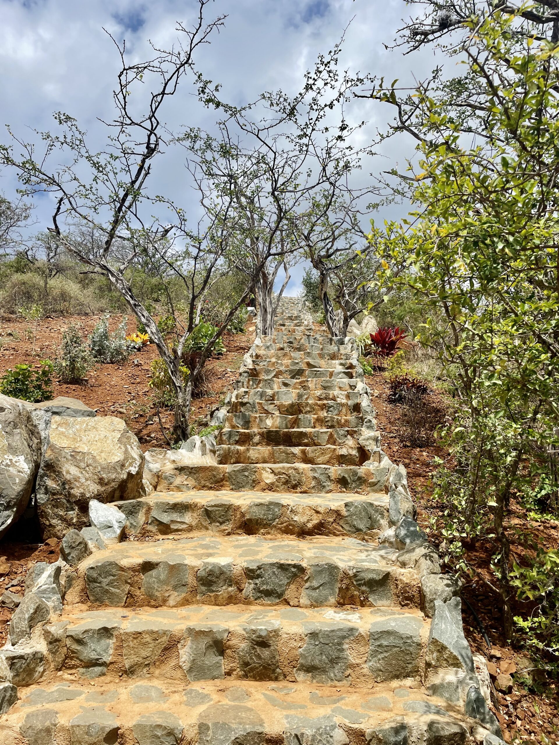 Neem eens een kijkje in het grootste natuurpark op Curacao, Hofi Mango ...