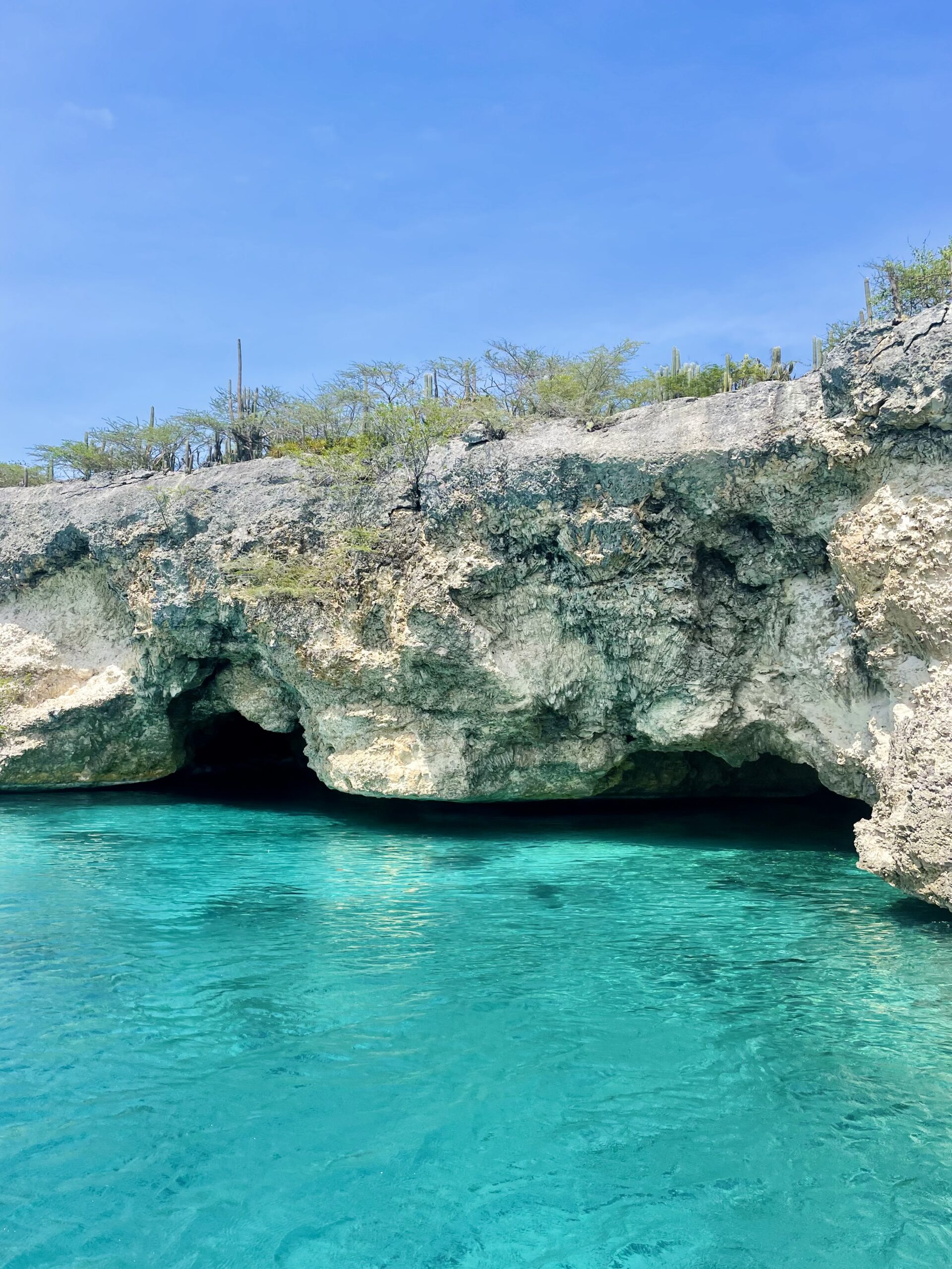 Boek nu een tour met Captain Goodlife! - Match